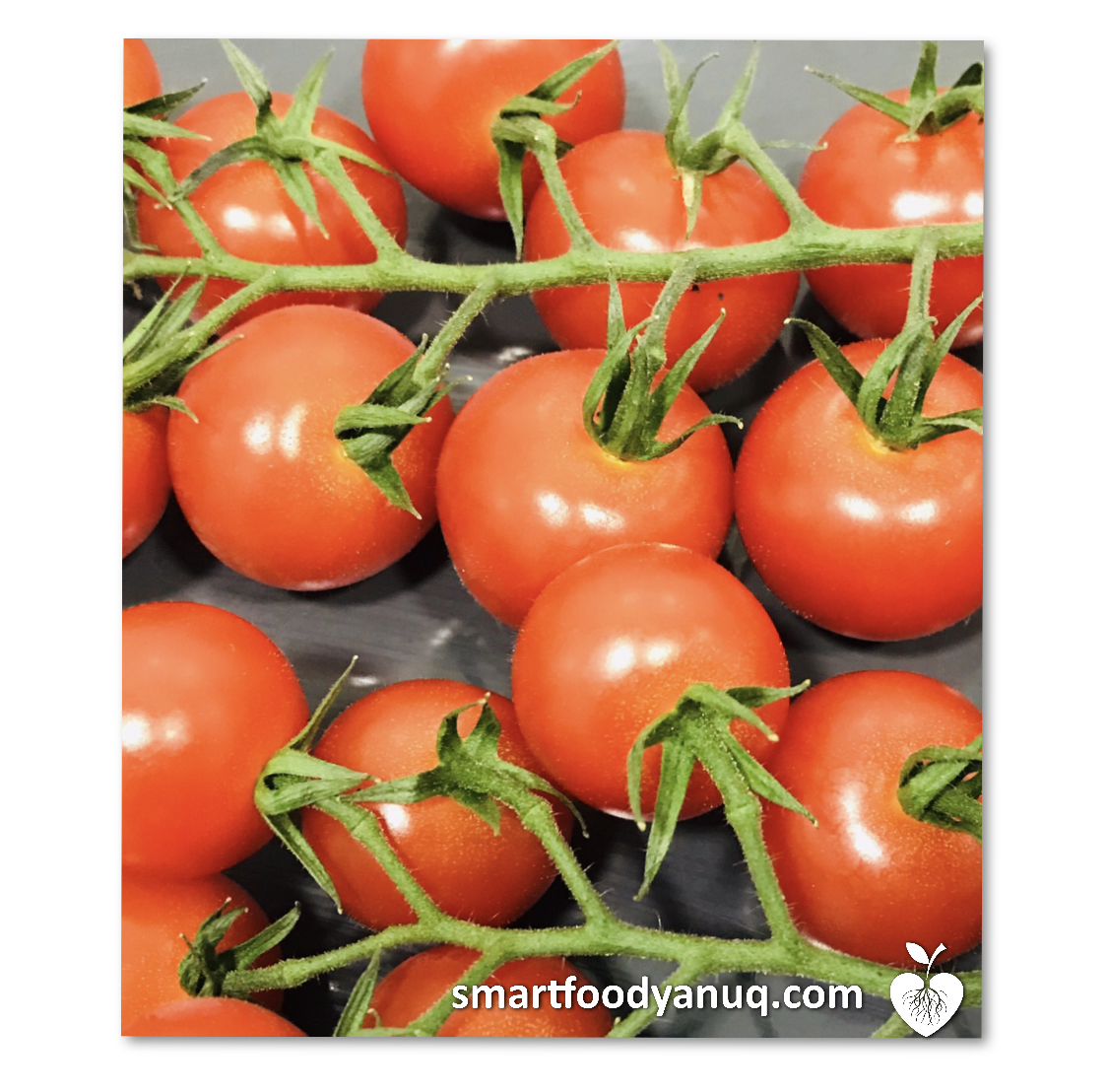 ¿Qué sabéis del tomate cherry? - Smart Food Yanuq - Eventos de Gastronomía